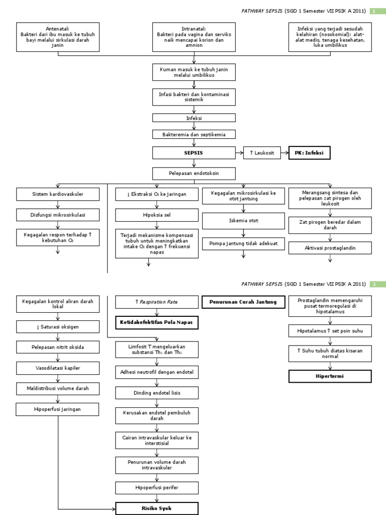 WOC Pathway Sepsis | PDF