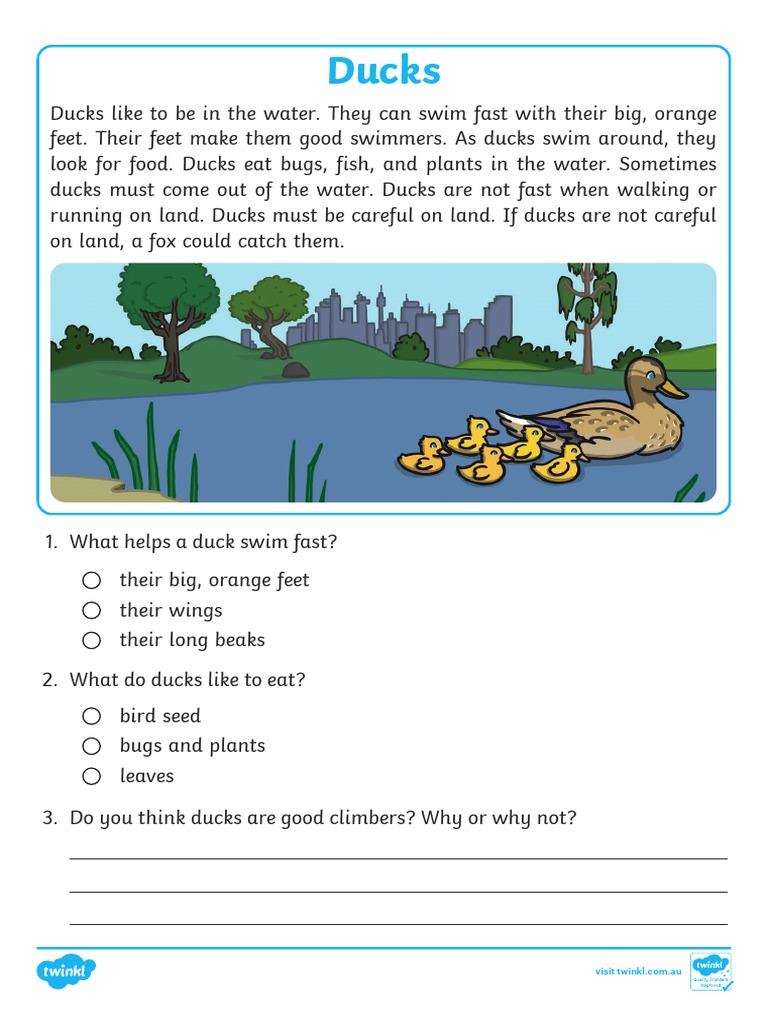 Ducks | PDF