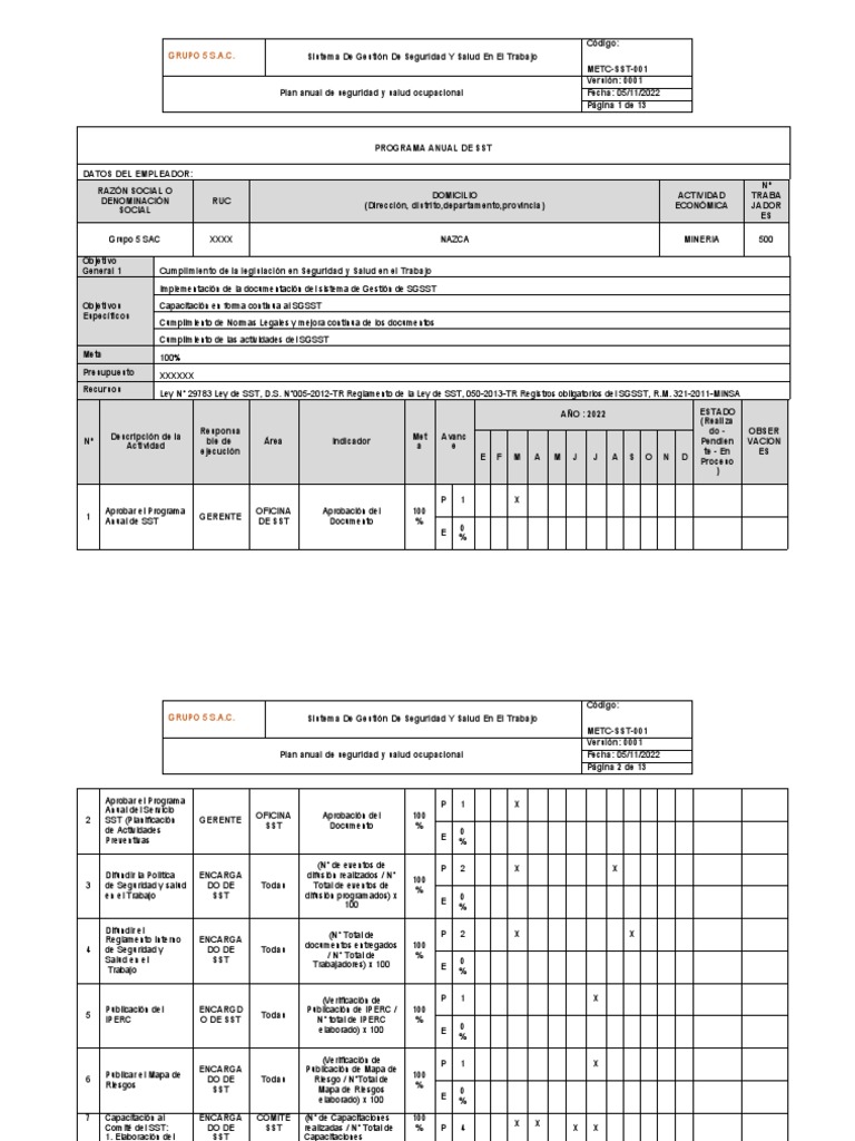 Programa Anual de SST | PDF | Seguridad y salud ocupacional | Ciencias de la Salud
