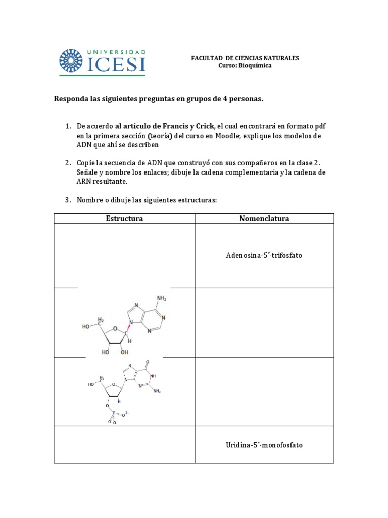 Taller 1 Bioquimica | PDF | Rna | Adn