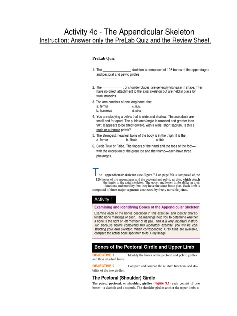 Act. 4c The Appendicular Skeleton For STUDENTS | PDF | Pelvis | Hand