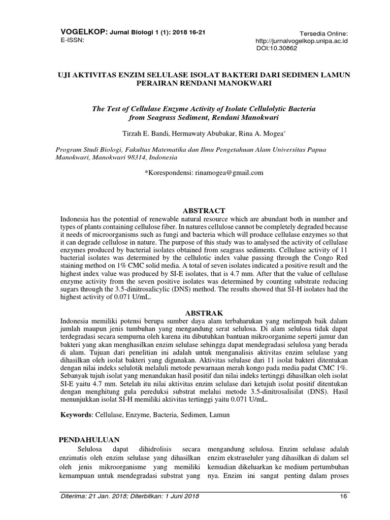 Uji Aktivitas Enzim Selulase Isolat Bakteri Dari S | PDF
