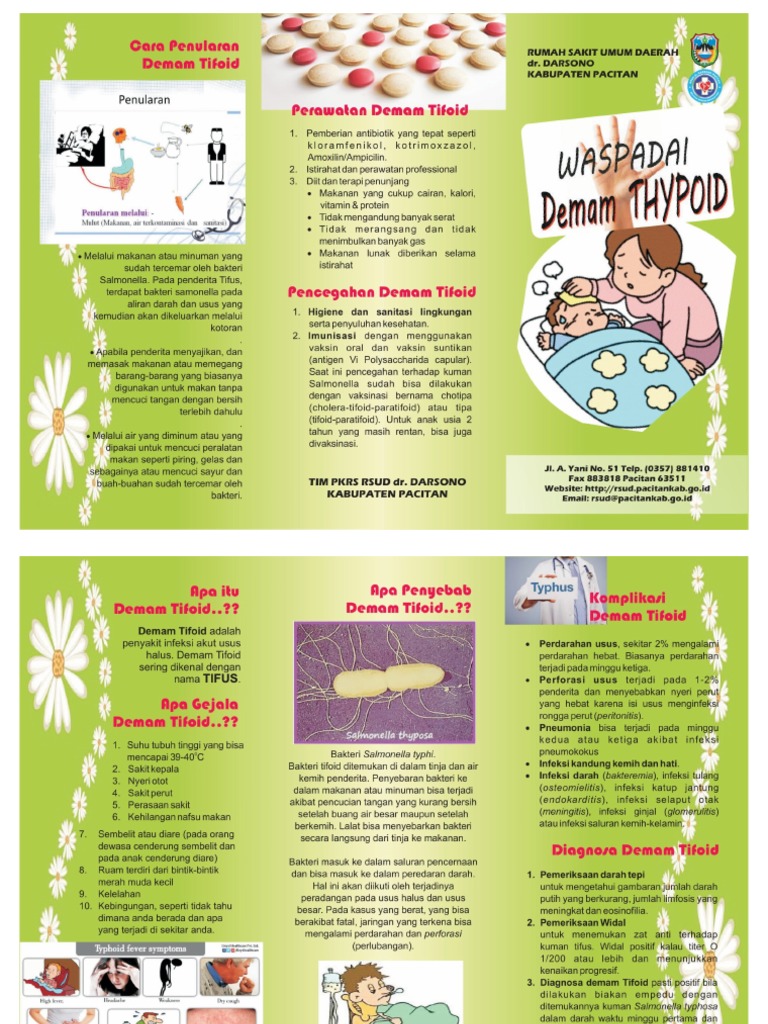 Demam Thypoid | PDF