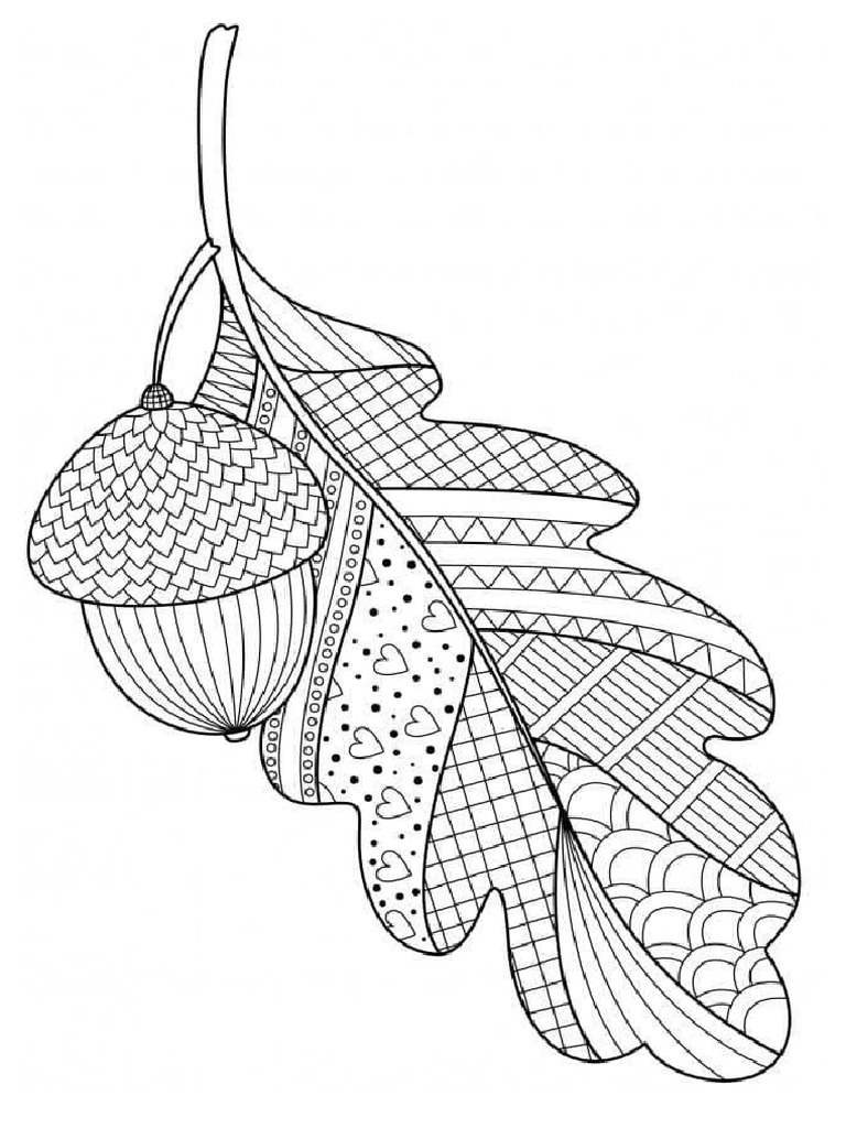 fise toamna de colorat | PDF