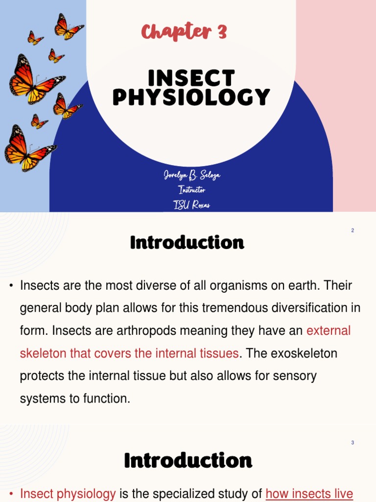 Insect Physiology | PDF | Insects | Arthropods