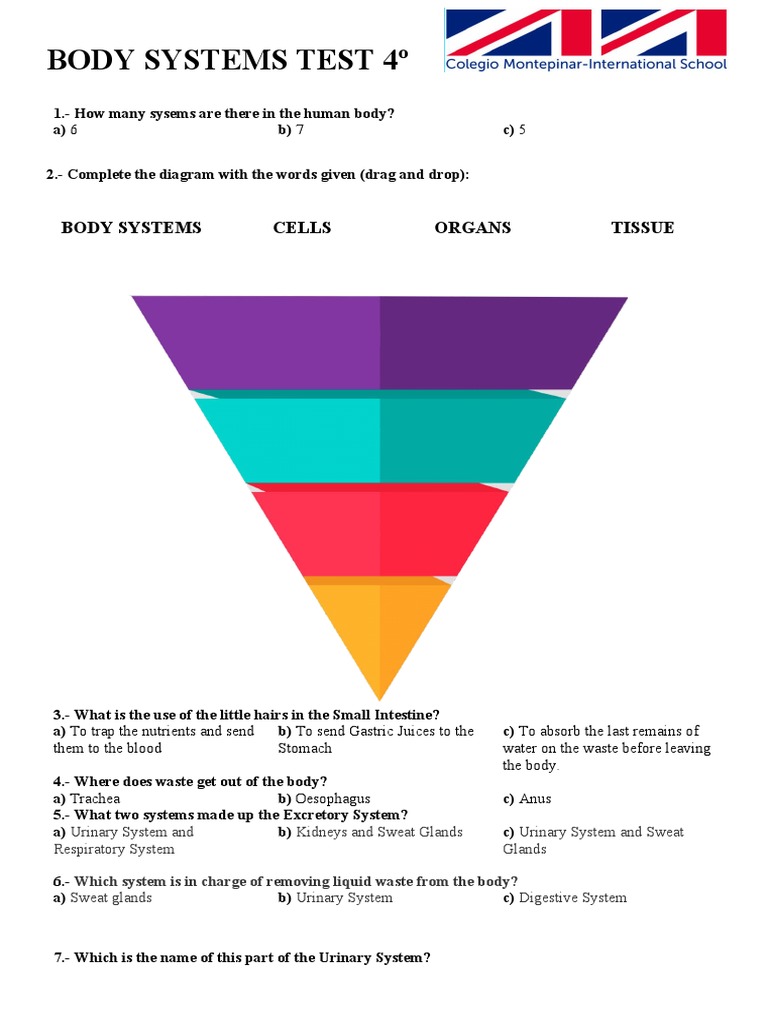 Body Systems Test | PDF | Human Body | Respiratory Tract