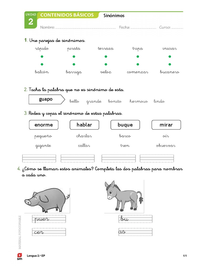 Asdsadsa | PDF | Limón