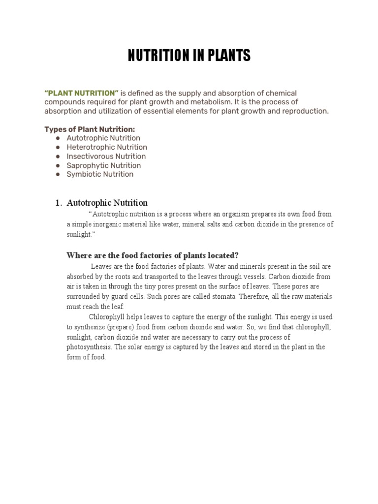 Nutrition in Plants | PDF | Nutrition | Diet & Nutrition