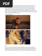African Lion Reproduction and Life Cycle | PDF | Lion | Tiger