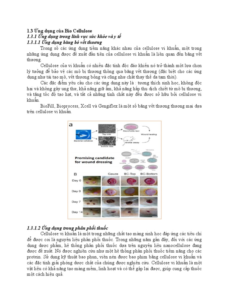 BIOCELL Application | PDF