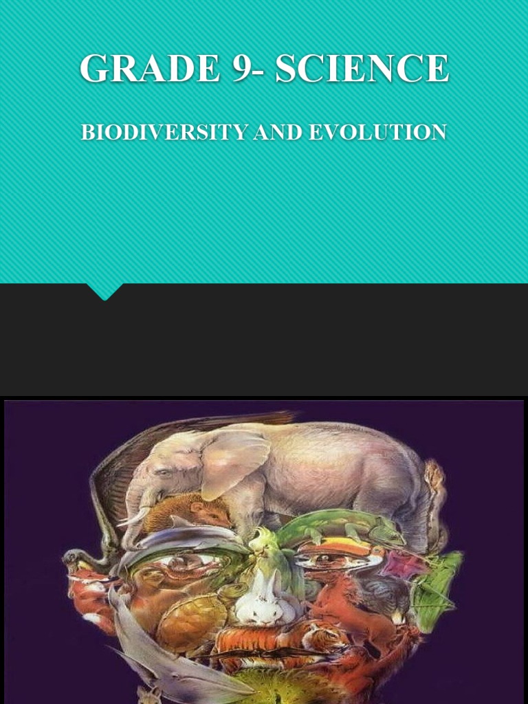 Biodiversity and Evolution | PDF | Biodiversity | Extinction