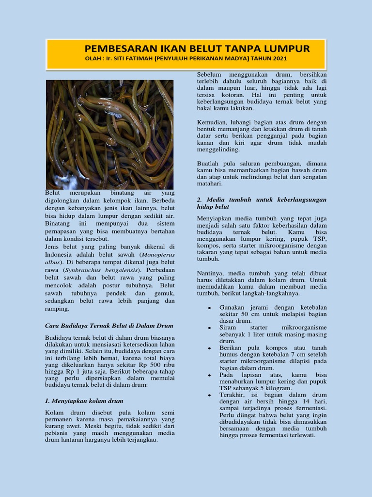 Leaflet Pembesaran Belut Tanpa Lumpur | PDF | Sains & Matematika | Teknologi & Rekayasa