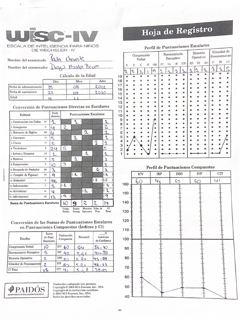 Wisc 4 | PDF