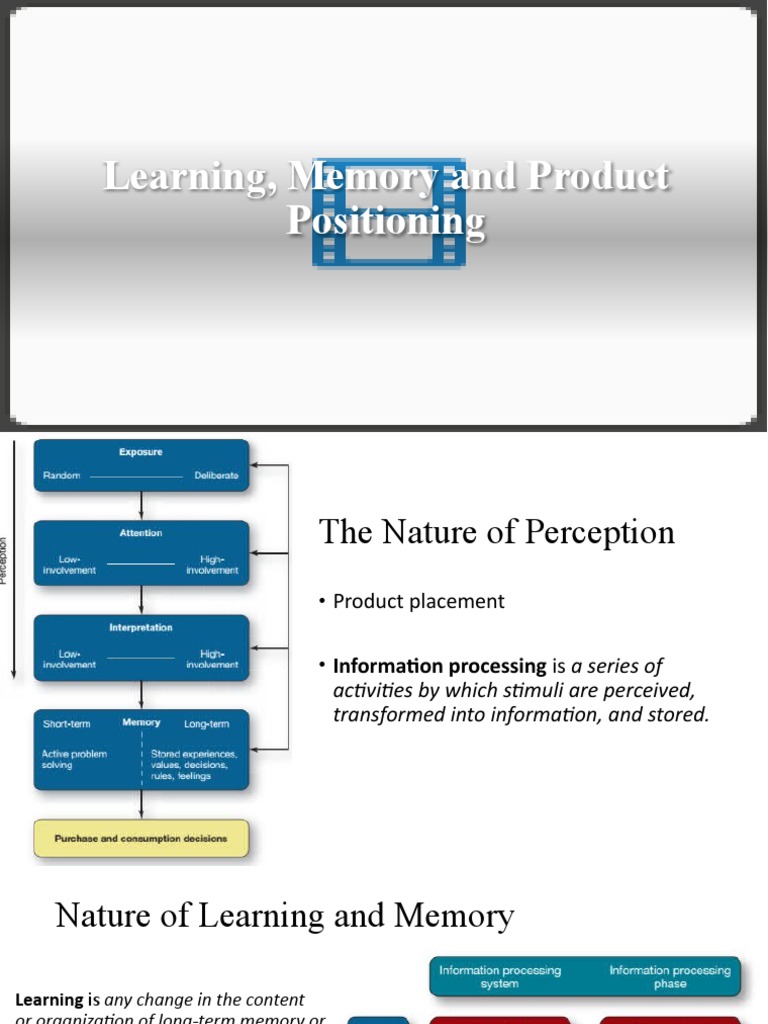 Learning and Memory in Product Positioning | PDF | Learning | Memory