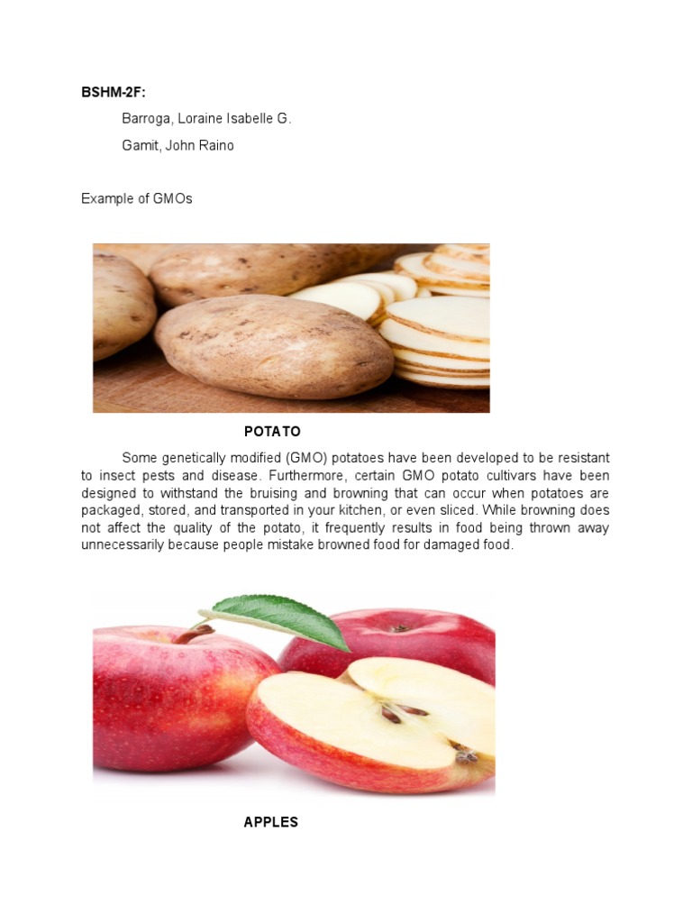 Example of GMOs Act1 | PDF | Genetically Modified Organism ...