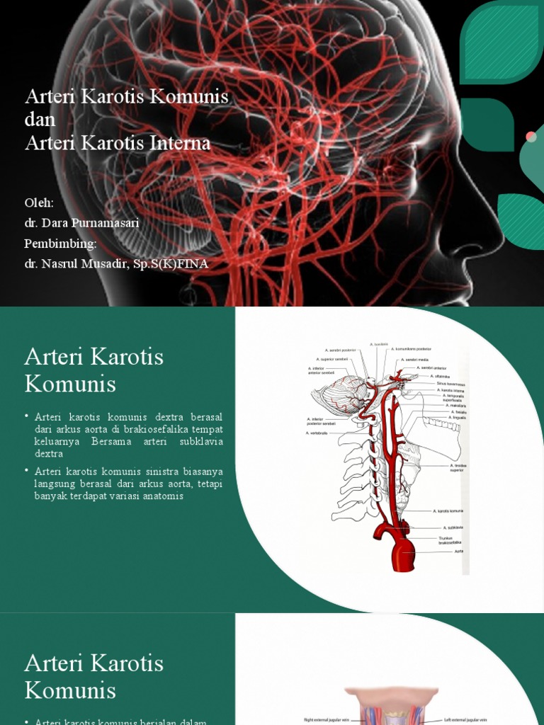 Arteri Karotis Komunis Dan Arteri Karotis Interna | PDF