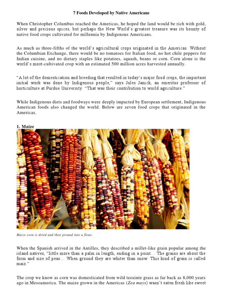 7 Foods Developed by Native Americans | PDF | Maize | Cucurbita