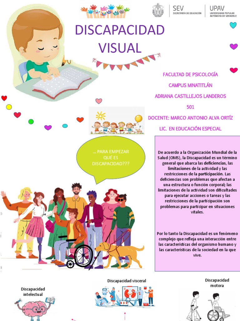 Discapacidad Visual 120201 | PDF | Invalidez | Percepción visual