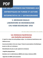Antibiogramme | PDF | Maladies et troubles | Produits de la biotechnologie