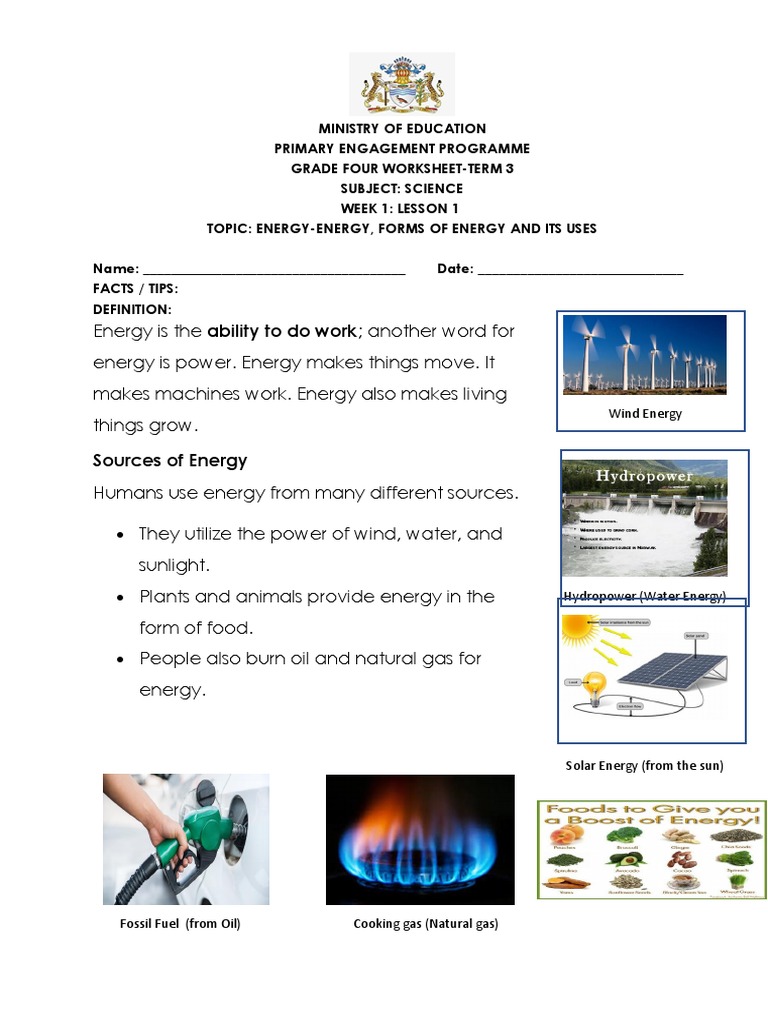 Grade 4 Science Weeks 1-6 Worksheets - Term 3 | Download Free PDF ...