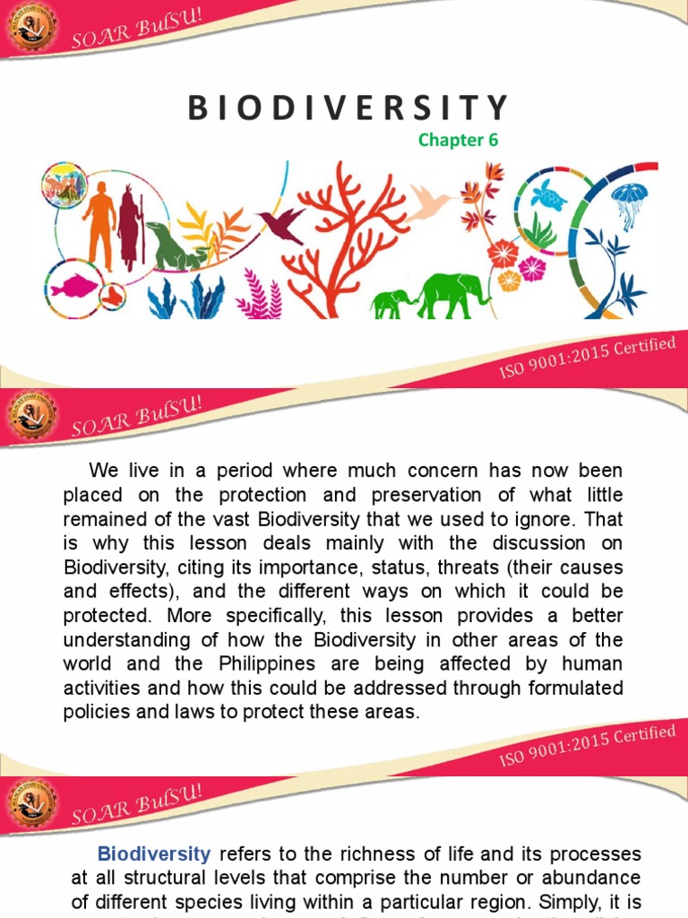 Chapter 6 Biodiversity - 1 | PDF | Biodiversity | Conservation Biology