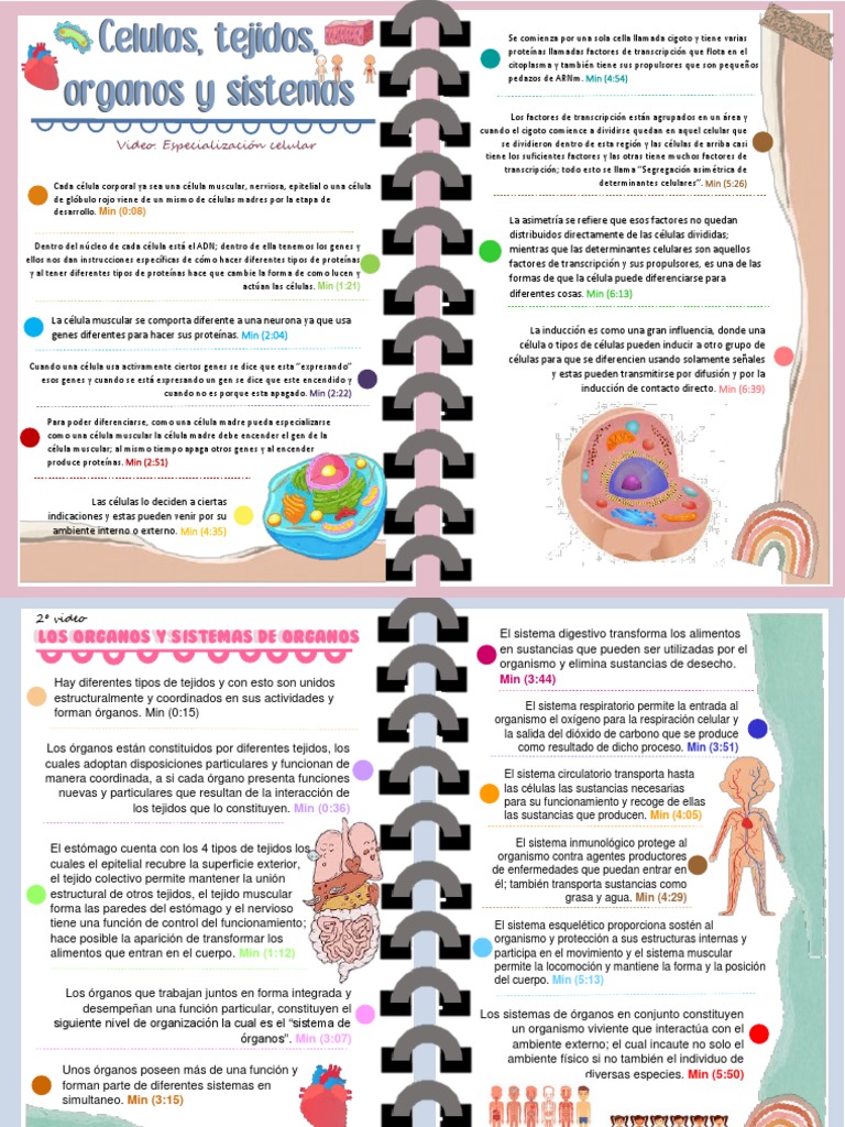 Células, tejidos, órganos y sistemas. | PDF | Biología Celular ...