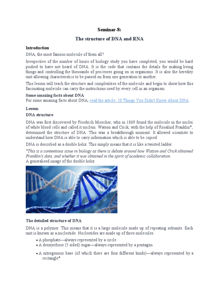 2 7 1 Student Study Material The Structure Of Dna And Rna Pdf Dna