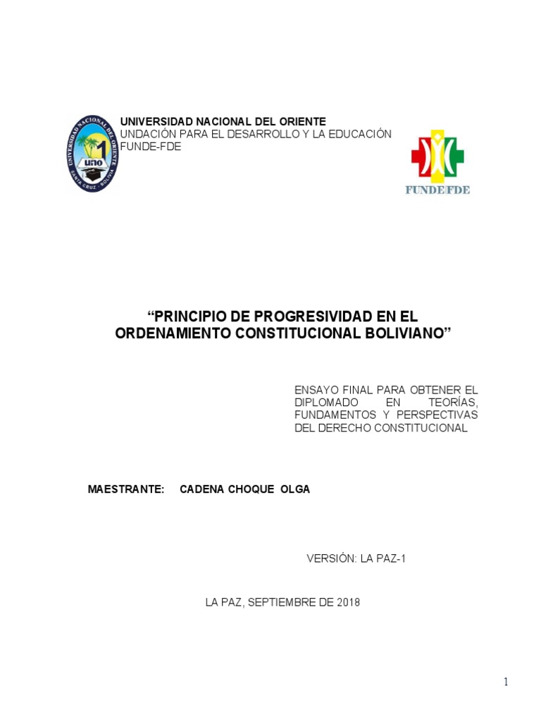 Principio de Progresividad en El Ordenamiento Constitucional Boliviano ...