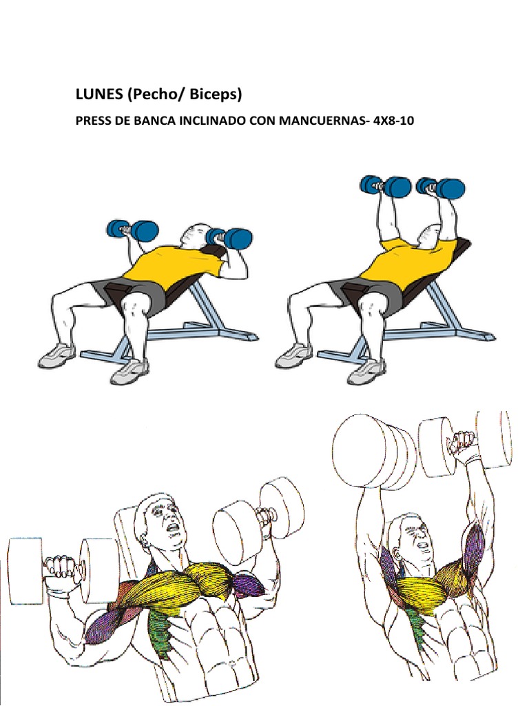 Rutina de Ejercicios Completo | PDF