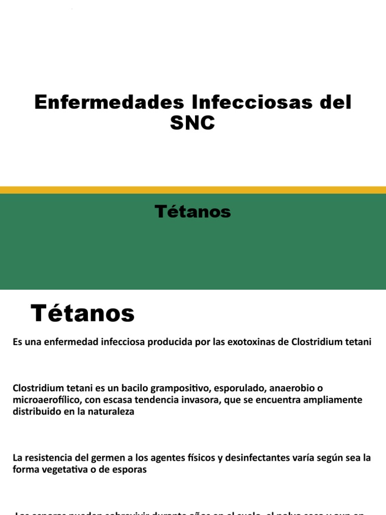 Tetanos | PDF | Ciencias de la Salud | Epidemiología