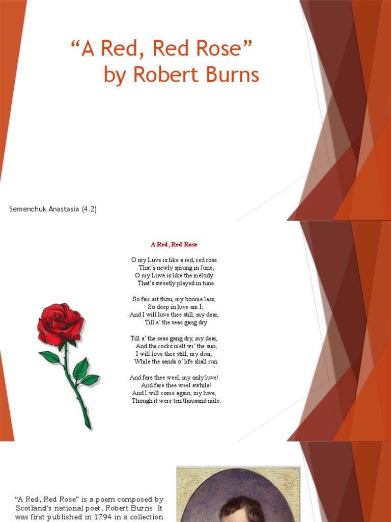 A Red, Red Rose | PDF | Poetry