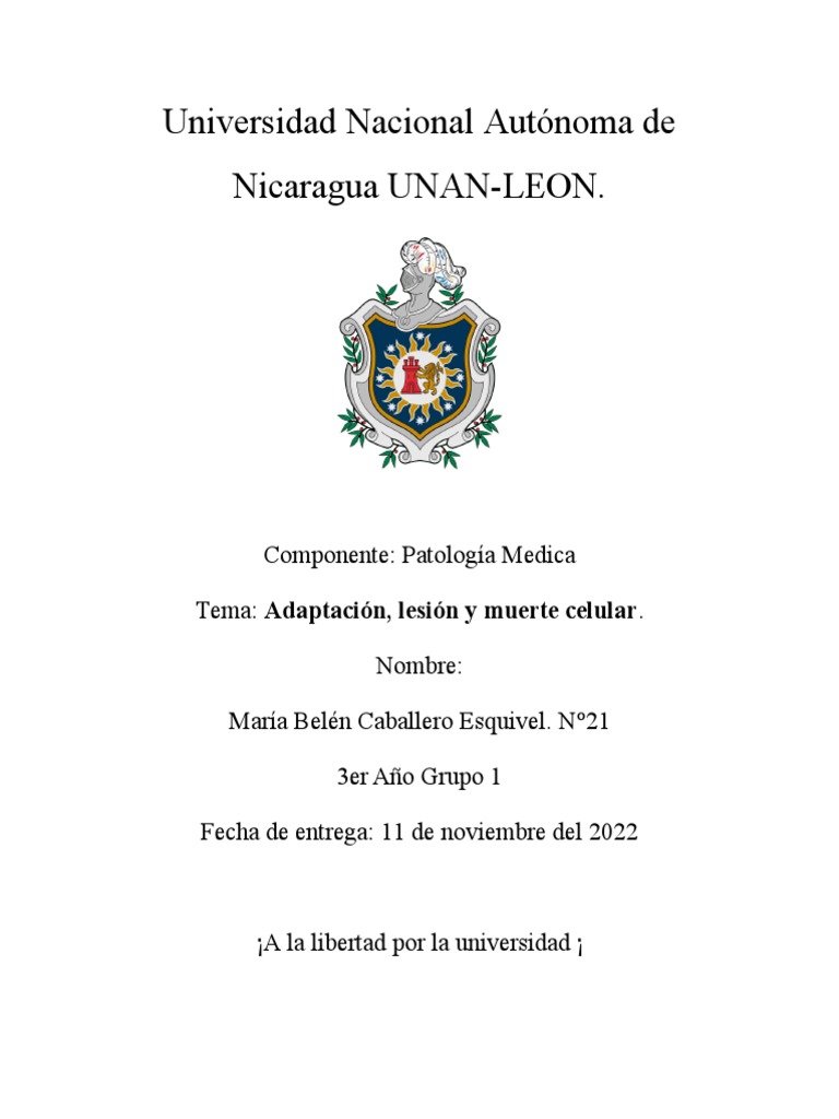 Informe ABP | PDF | Hepatitis | Hepatitis B