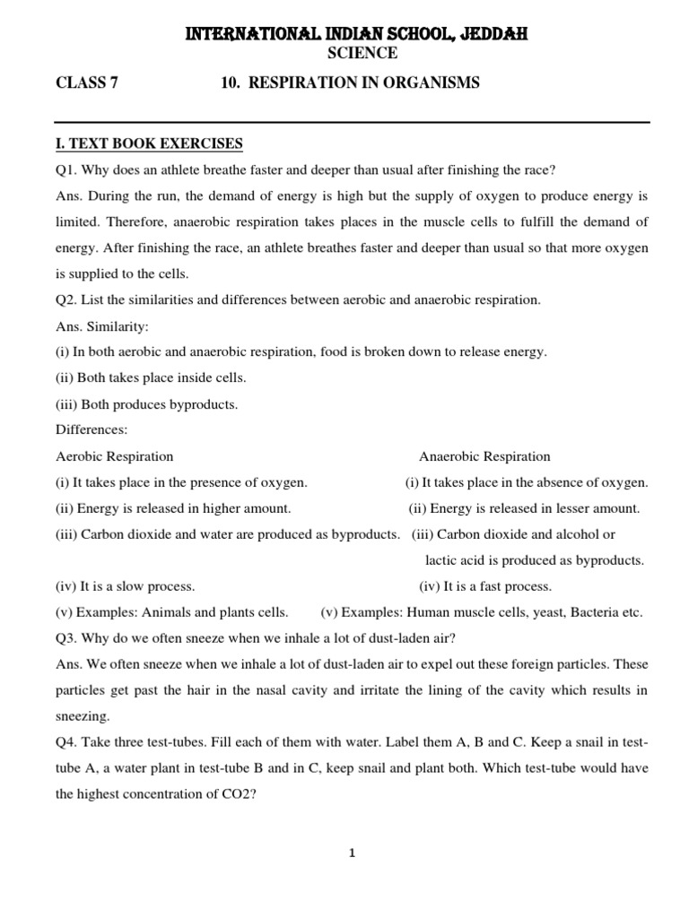 NOTES CLASS7 L10 Respiration in Organisms-1 | Download Free PDF ...