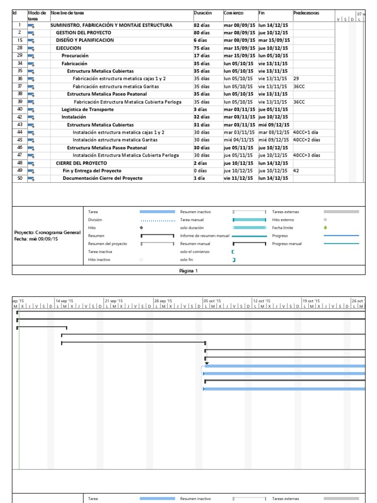 Cronograma General CEES | PDF