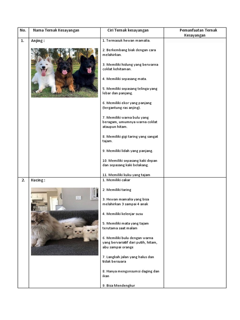 No. Nama Ternak Kesayangan Ciri Ternak Kesayangan Pemanfaatan Ternak Kesayangan 1. Anjing | PDF ...