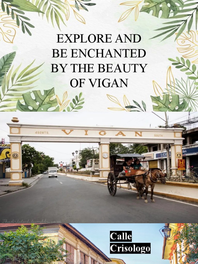 VIGAN | PDF