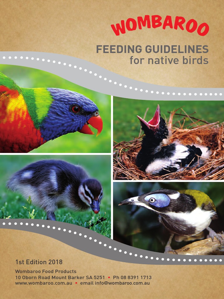 Wombaroo Bird Booklet | PDF | Birds | Insects