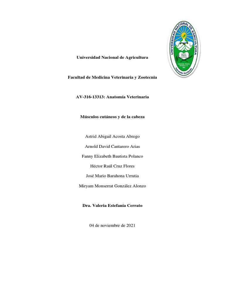 Resumen Músculos Cutáneos y de La Cabeza | PDF | Sistema esquelético ...