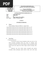 Metode Total Plate Count (TPC) Mikroba | PDF | Sains & Matematika