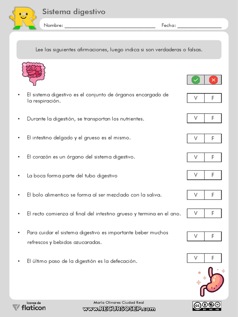 Verdadero o Falso Sistema Sistema Digestivo | PDF Verdadero o Falso Sistema Sistema Digestivo | PDF