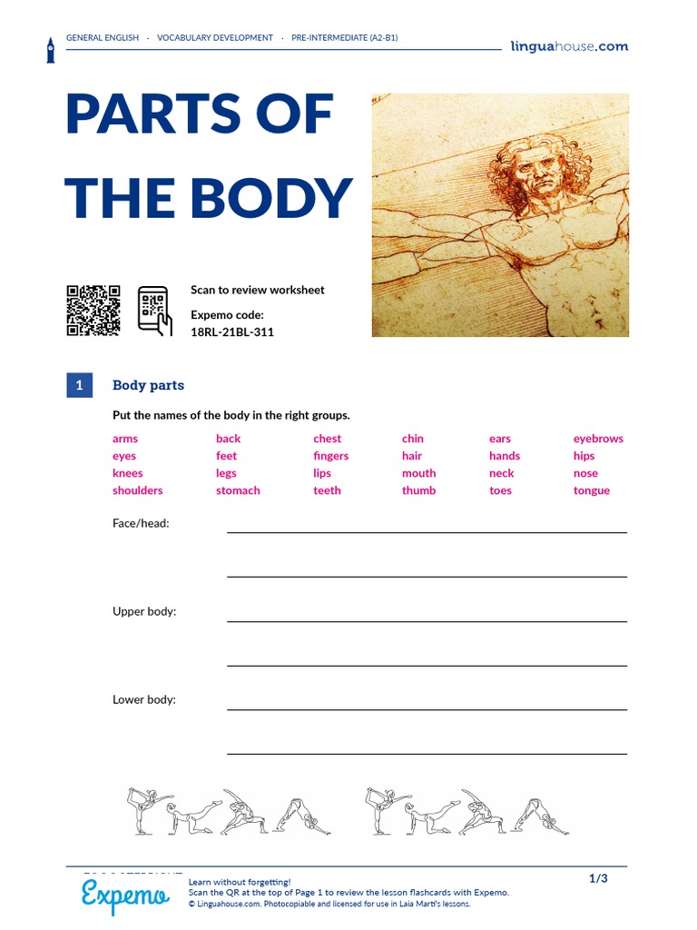 A2.student. Parts of The Body | PDF | Human Anatomy | Anatomy