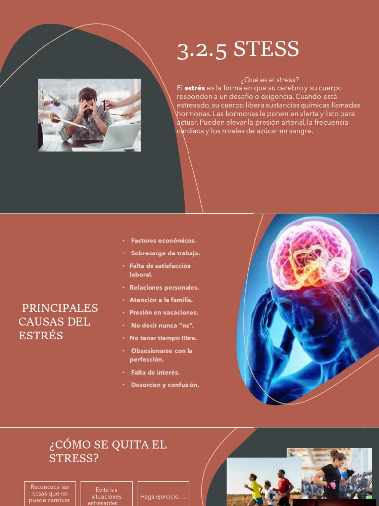 Estrés: Causas, Síntomas y Manejo | PDF