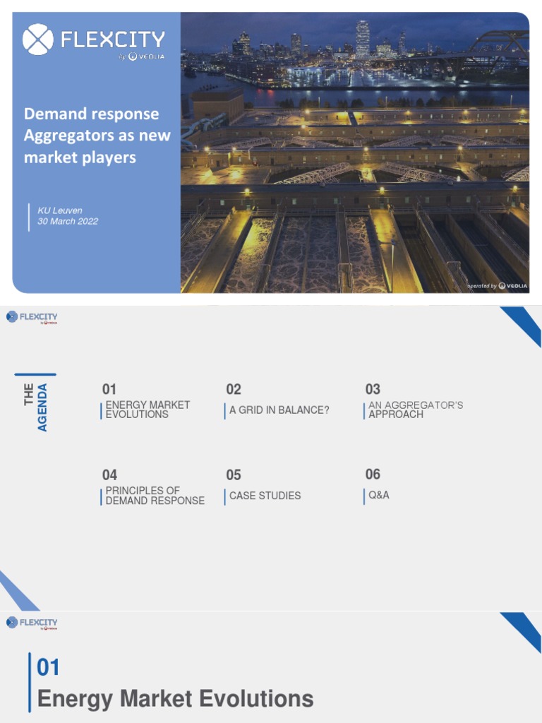 6 Energy Aggregators As New Market Players 2022-03-30 - KU Leuven ...