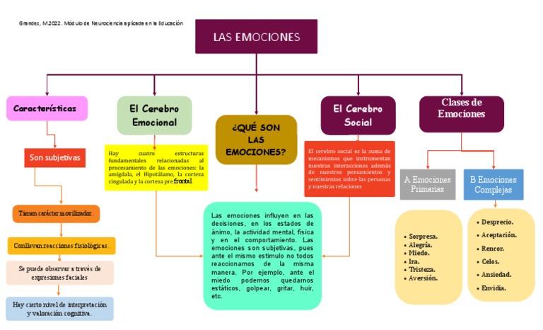 Las Emociones | PDF | Las emociones | Psicología cognitiva