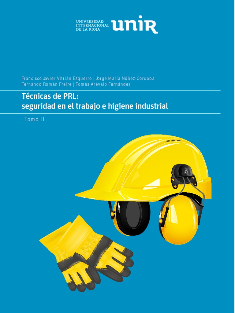 Manual Seguridad e Higiene | PDF | Riesgo | Valores