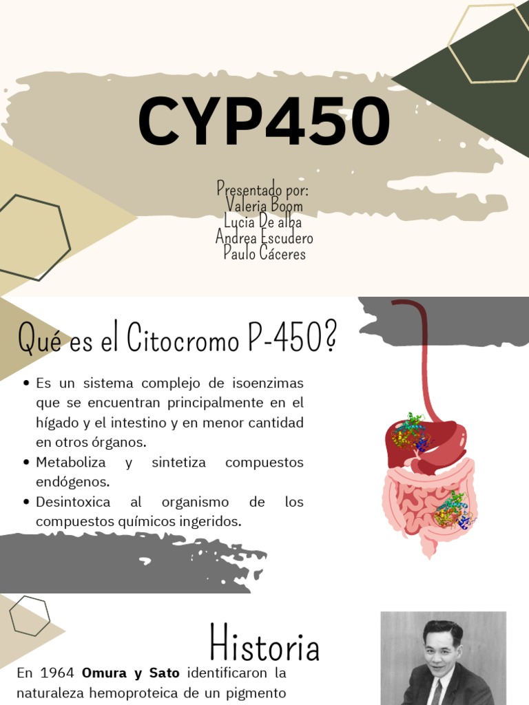 CYP450 Presentación | PDF | Citocromo P450 | Inhibidor de la enzima