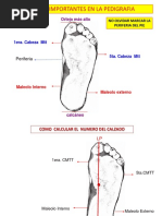 Pie Talo, Pie Varo, Valgo, y Pie Plano | PDF | Pie | Tobillo