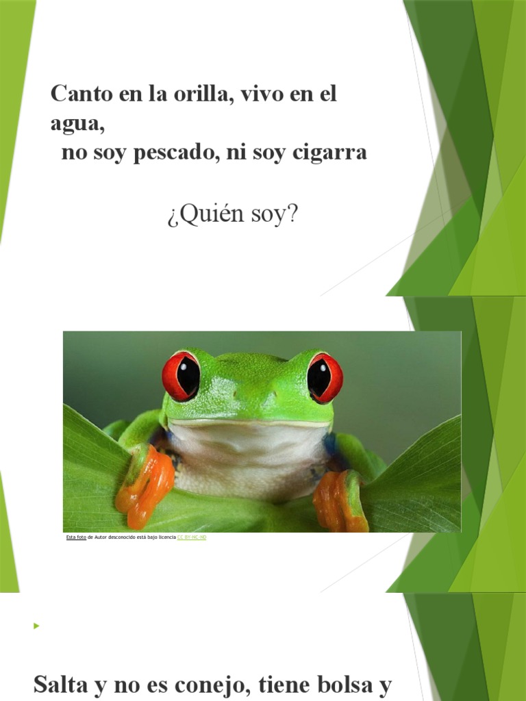 Huemul | PDF | Mamíferos