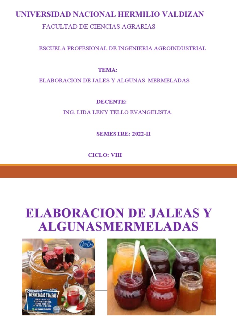 Elaboracion de Jaleas y Algunas Mermeladas | PDF | Agua | Concentración