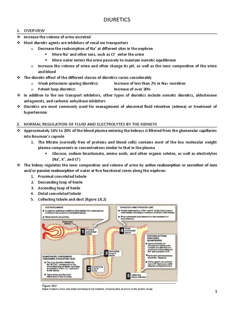 Chapter 18 DIURETICS | PDF | Medical Specialties | Drugs